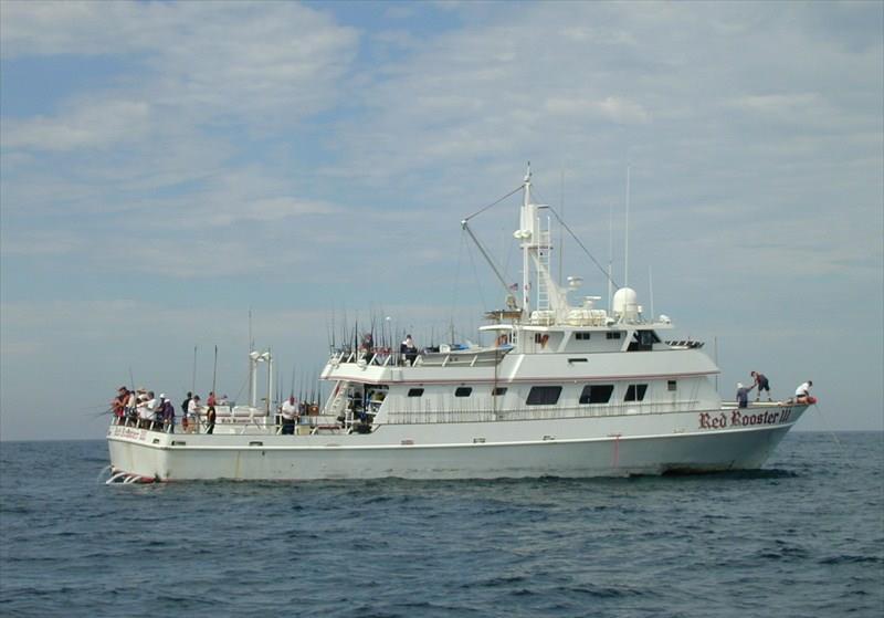 RED ROOSTER III - Vesseljoin