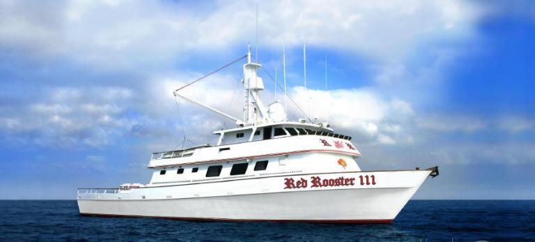 RED ROOSTER III - Vesseljoin