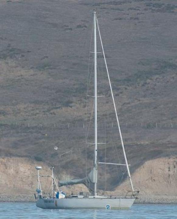 TIGER BEETLE - Vesseljoin