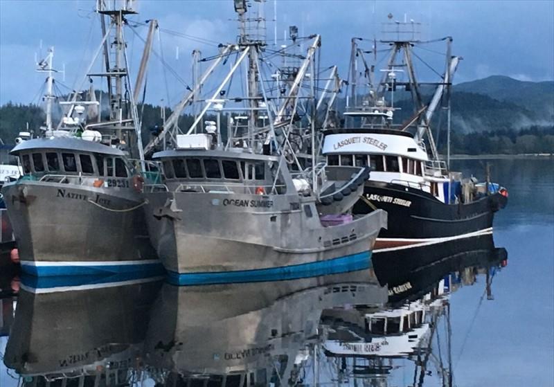 OCEAN SUMMER - Vesseljoin