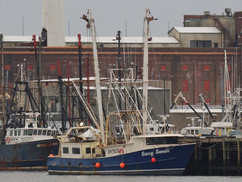 SASSY SARAH - Vesseljoin