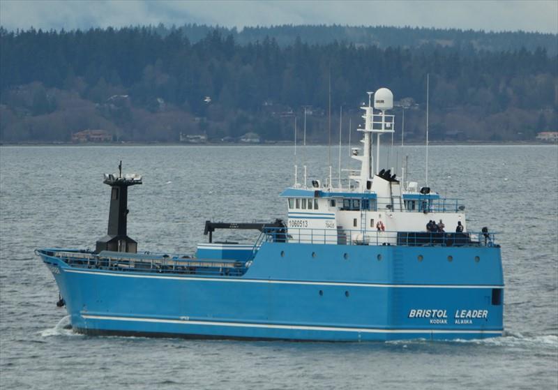 Bristol Leader at Savannah Eades blog