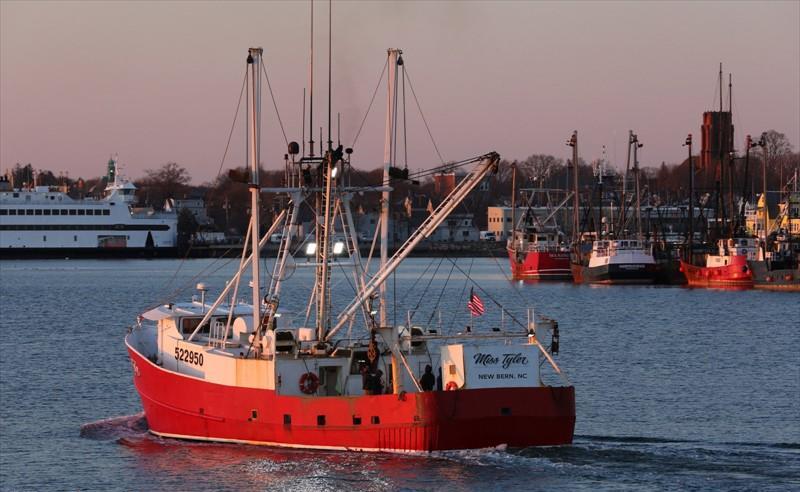 MISS TYLER - Vesseljoin