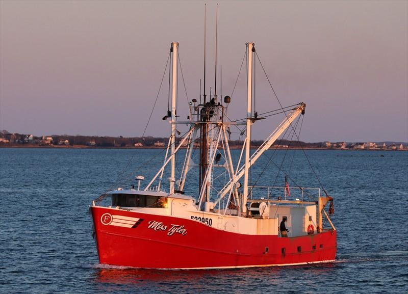 MISS TYLER - Vesseljoin