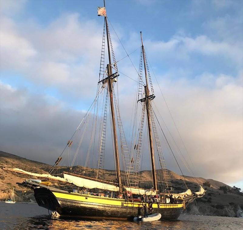 SPIRIT OF DANA PT - Vesseljoin