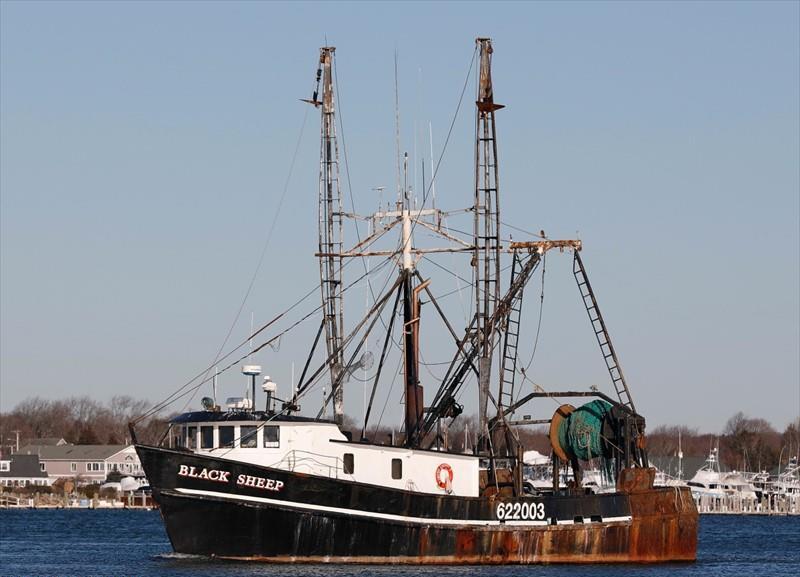 BLACK SHEEP - Vesseljoin