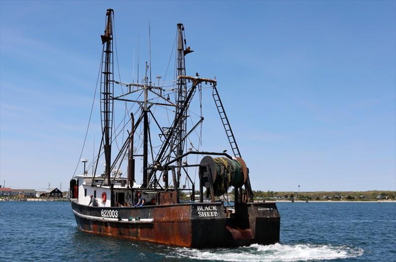 BLACK SHEEP - Vesseljoin