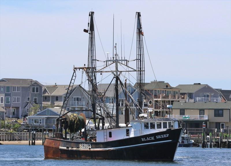 BLACK SHEEP - Vesseljoin