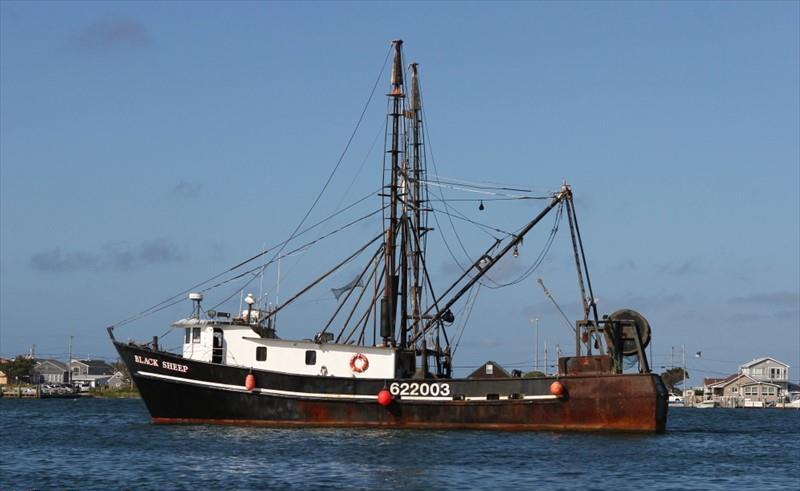 BLACK SHEEP - Vesseljoin