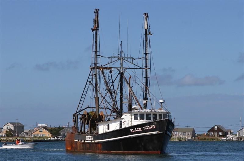 BLACK SHEEP - Vesseljoin