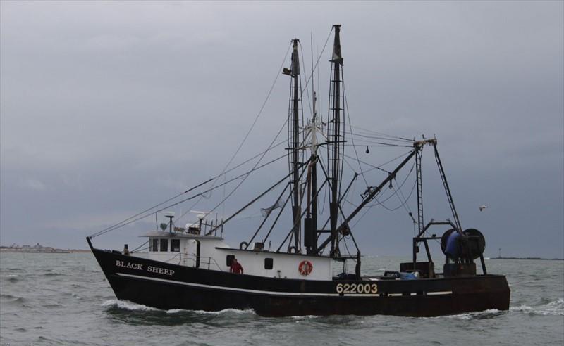 BLACK SHEEP - Vesseljoin