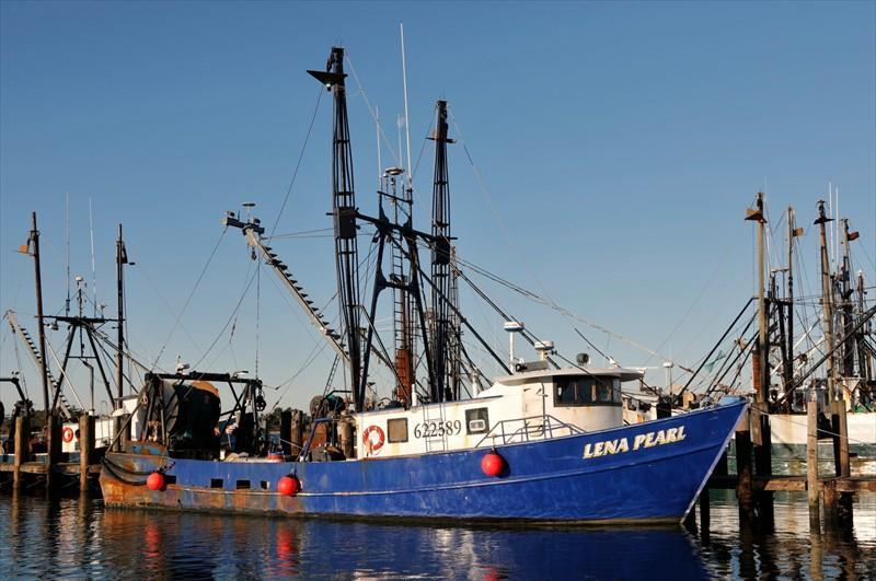 LENA PEARL - Vesseljoin