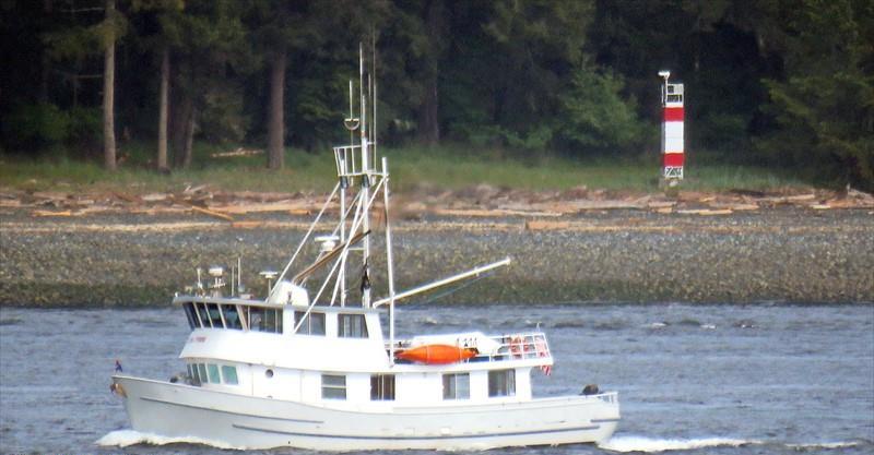 STEEL TIGER - Vesseljoin