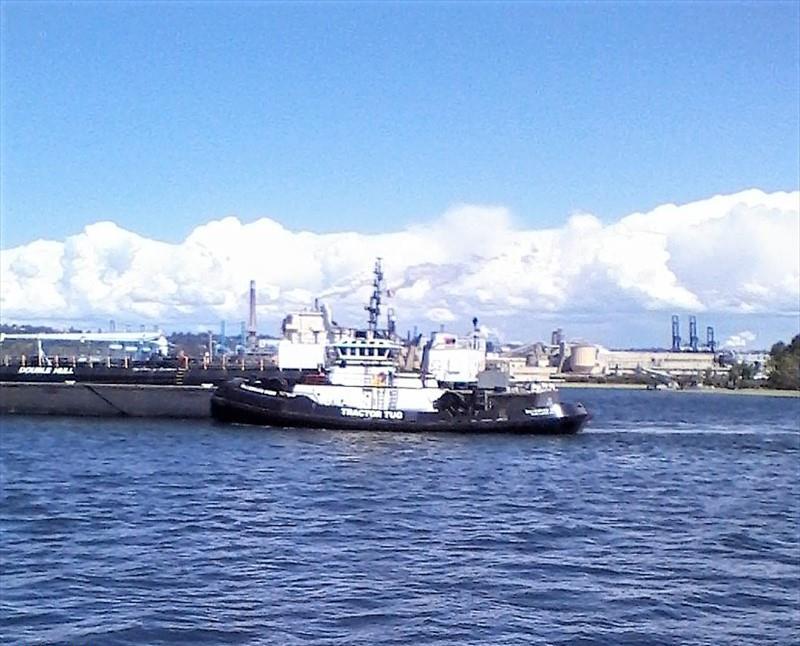 MILLENNIUM DAWN - Vesseljoin