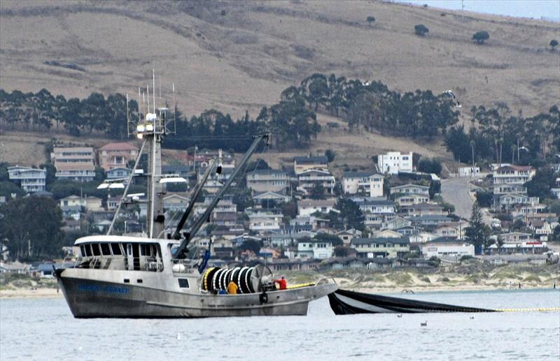 PACIFIC JOURNEY - Vesseljoin