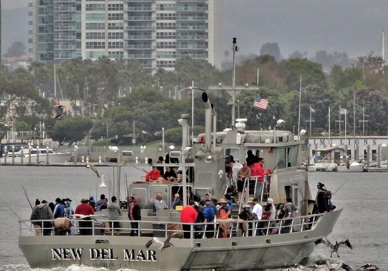 NEW DEL MAR - Vesseljoin