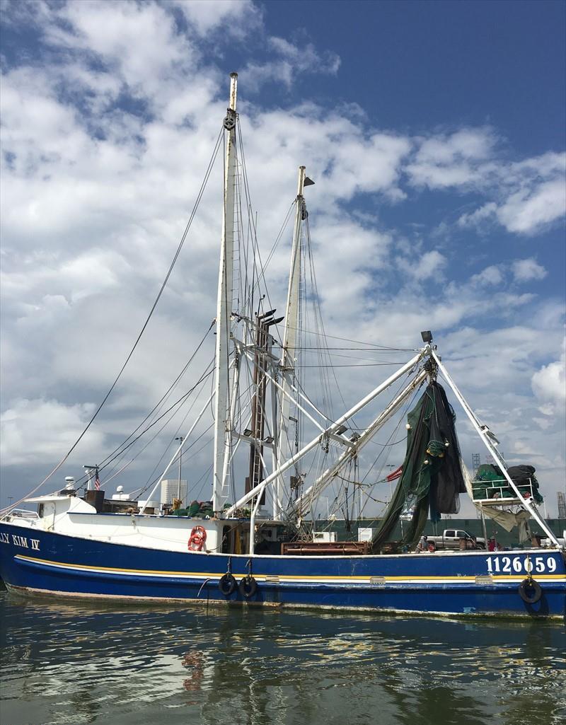 SALLY KIM IV - Vesseljoin