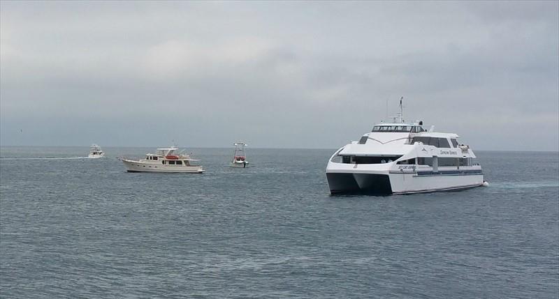 JET CAT EXPRESS - Vesseljoin