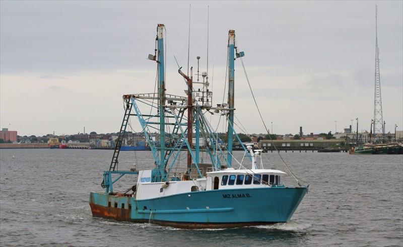 MIZ ALMA B - Vesseljoin