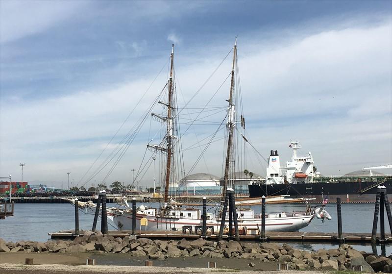 EXY JOHNSON - Vesseljoin