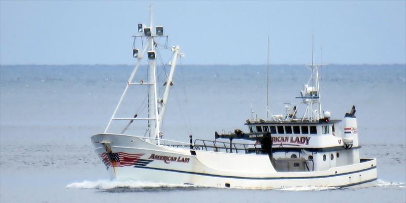 AMERICAN LADY - Vesseljoin