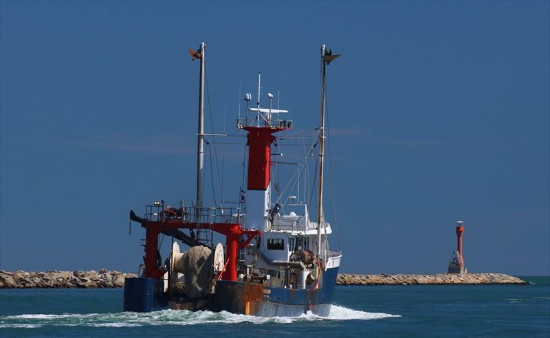 SUNLIGHT - Vesseljoin