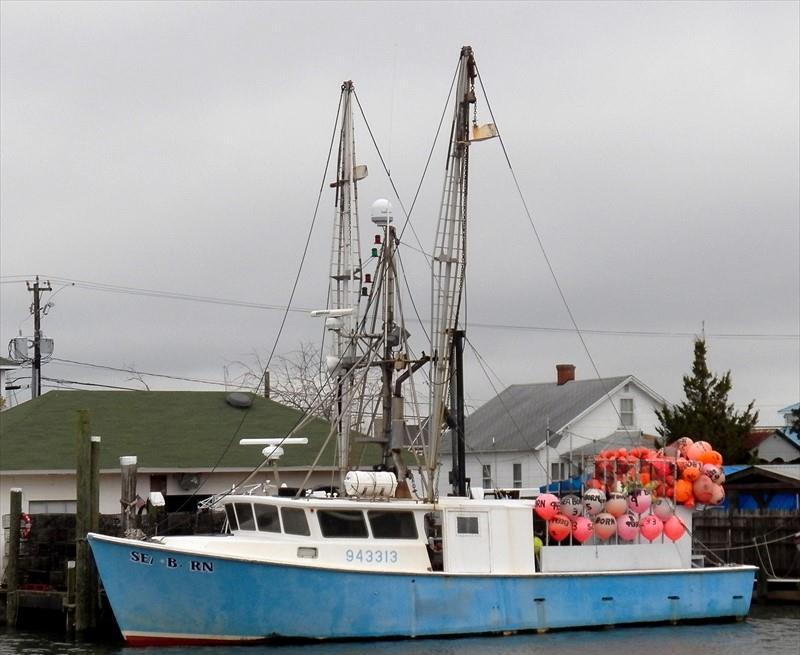 SEABORN - Vesseljoin