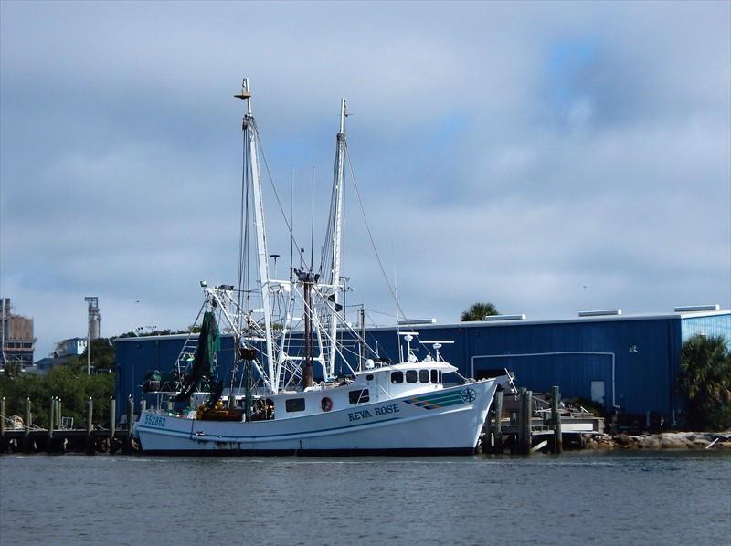 REVA ROSE - Vesseljoin