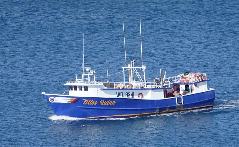 MISS QUINN - Vesseljoin