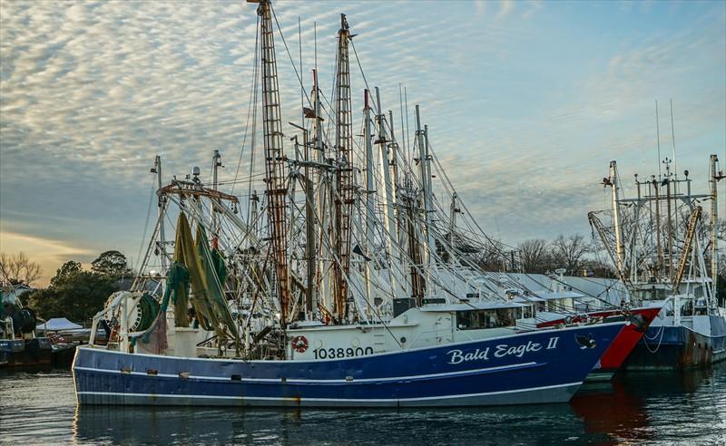 BALD EAGLE II - Vesseljoin