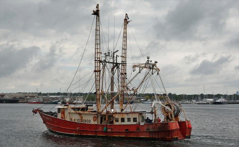 BALD EAGLE II - Vesseljoin