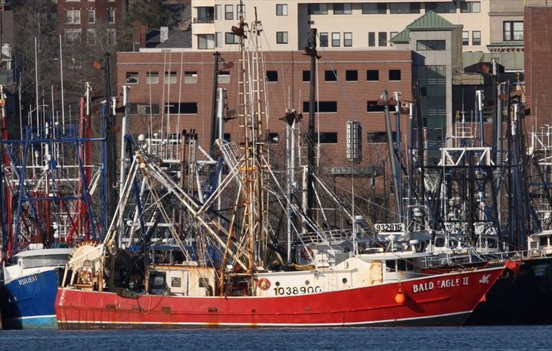 BALD EAGLE II - Vesseljoin