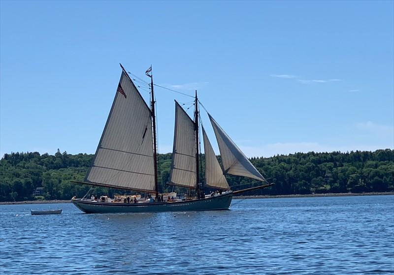 AMERICAN EAGLE - Vesseljoin