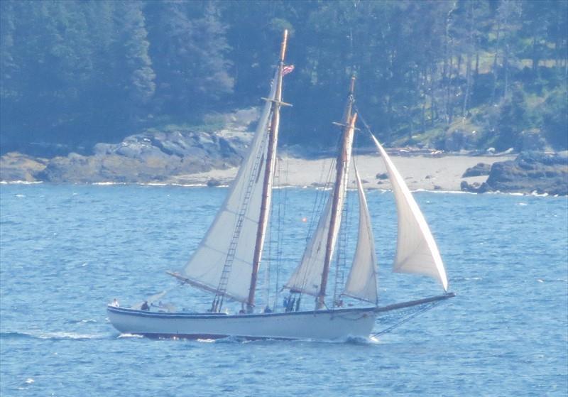 AMERICAN EAGLE - Vesseljoin