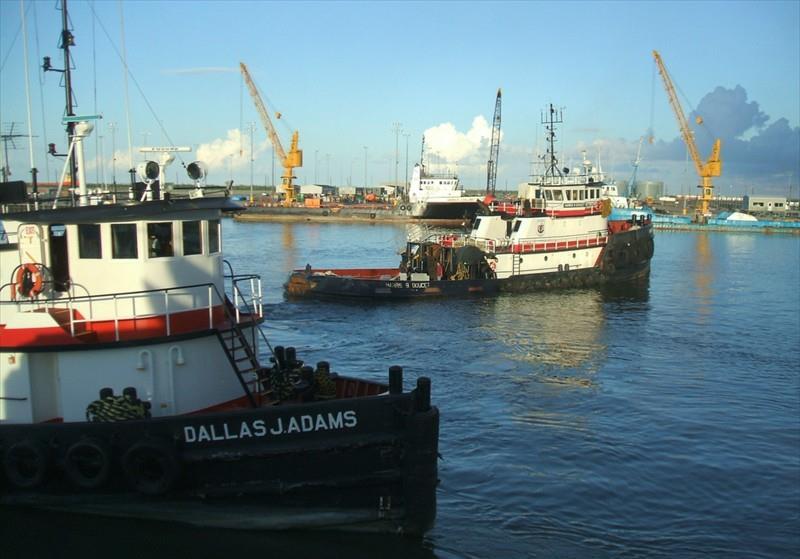 ZION M FALGOUT - Vesseljoin