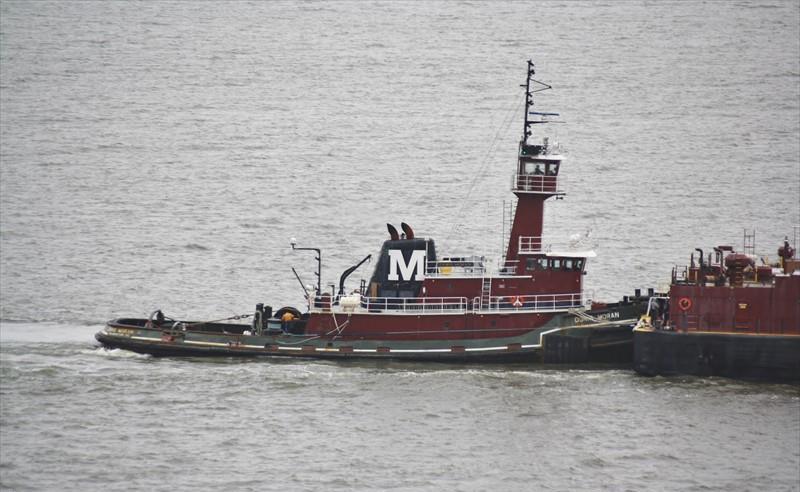 DORIS MORAN - Vesseljoin