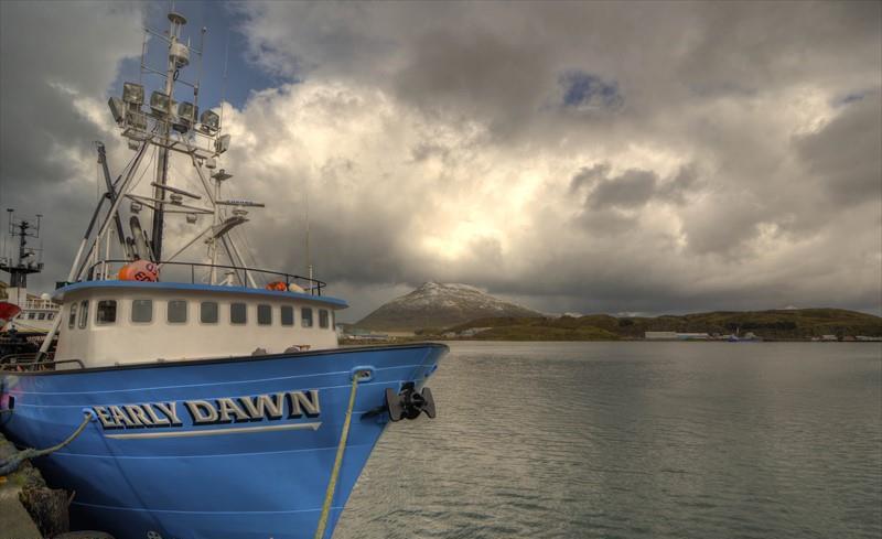 EARLY DAWN - Vesseljoin