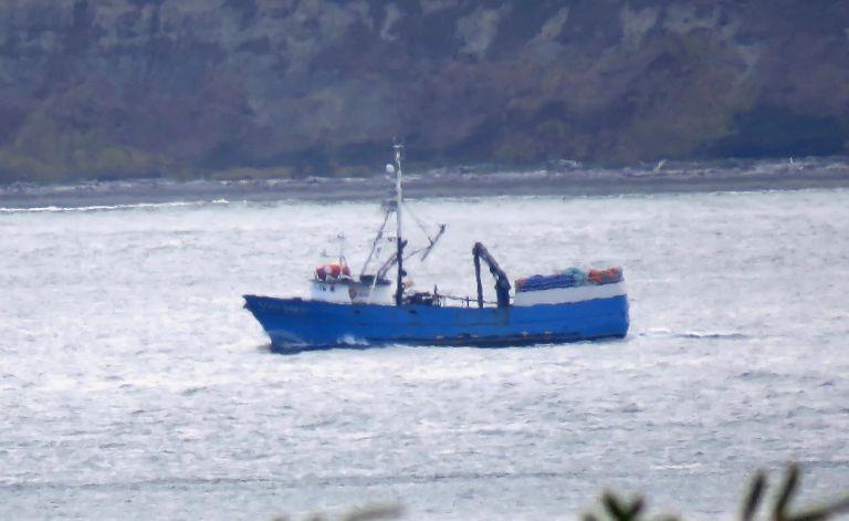 EARLY DAWN - Vesseljoin