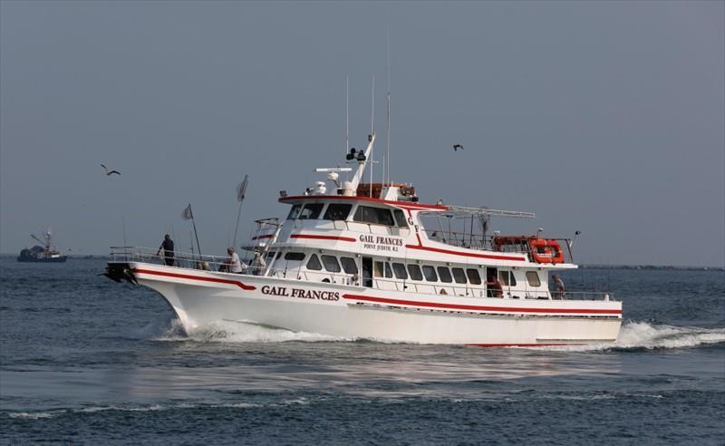 GAIL FRANCES - Vesseljoin