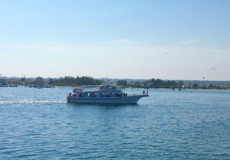 GAIL FRANCES - Vesseljoin