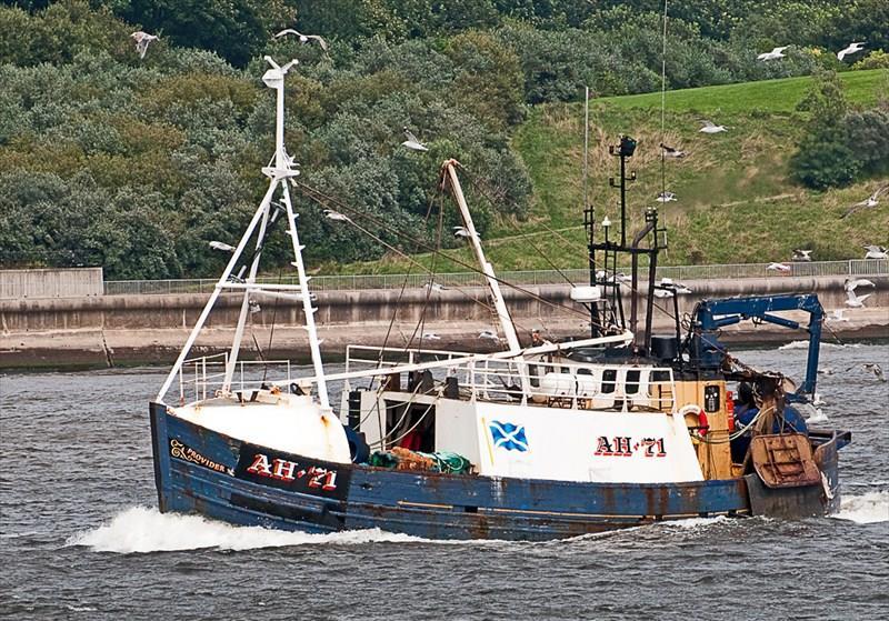 PROVIDER - Vesseljoin