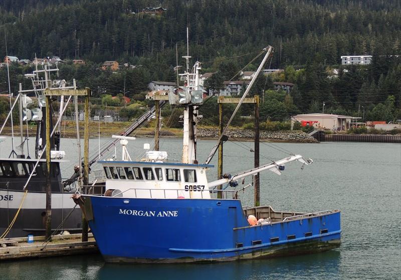 MORGAN ANNE - Vesseljoin