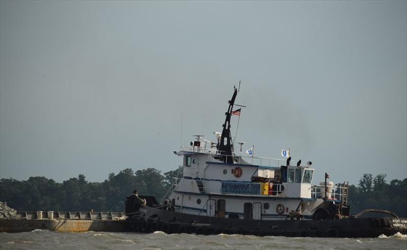 NIGHT HAWK - Vesseljoin