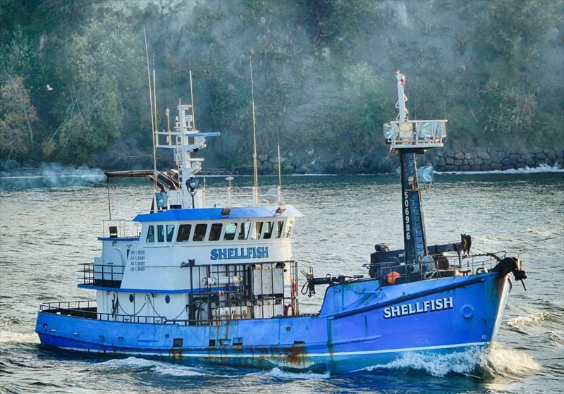 SHELLFISH - Vesseljoin