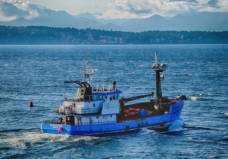 SHELLFISH - Vesseljoin