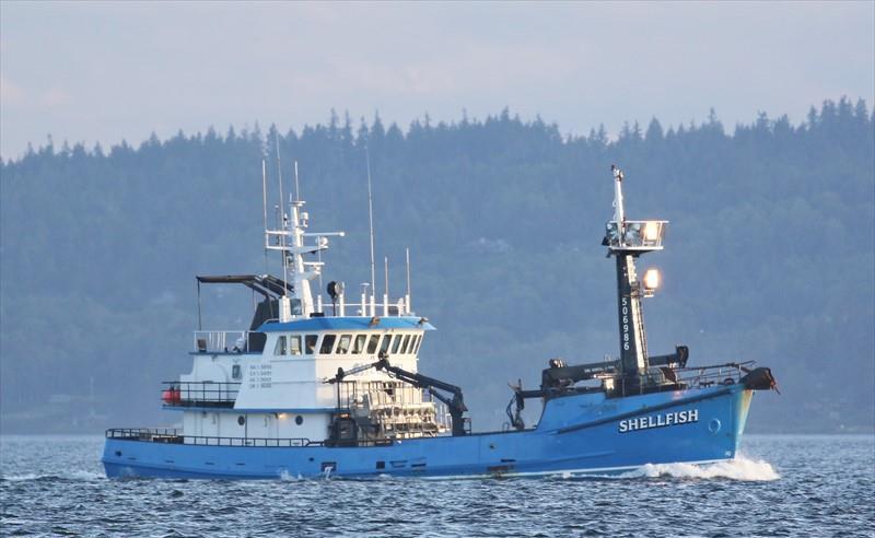 SHELLFISH - Vesseljoin