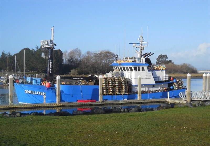 SHELLFISH - Vesseljoin