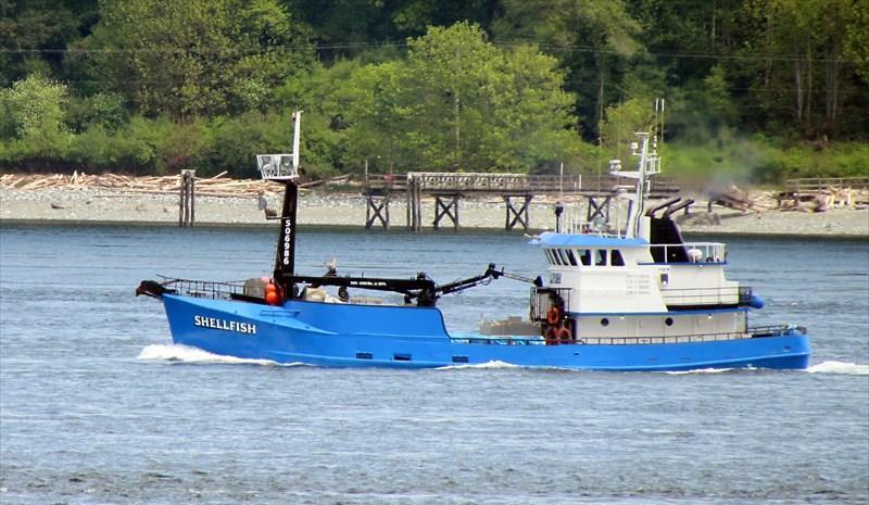 SHELLFISH - Vesseljoin