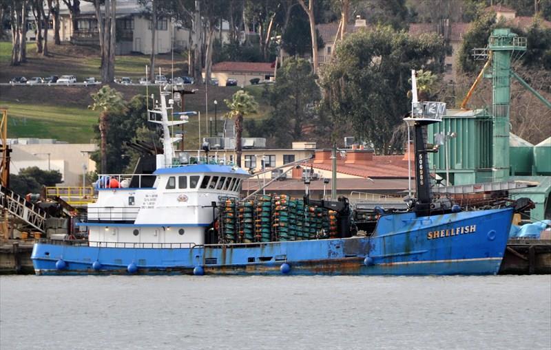 SHELLFISH - Vesseljoin