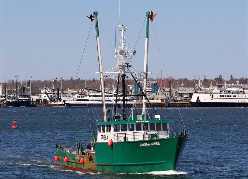 HANNAH BODEN - Vesseljoin